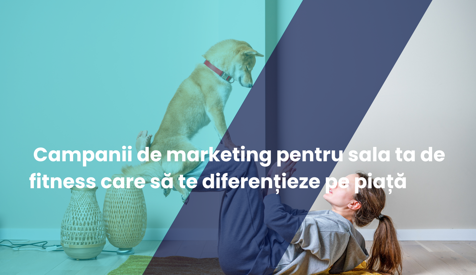 Campanii de marketing pentru sala ta de fitness care sa te diferențieze ...